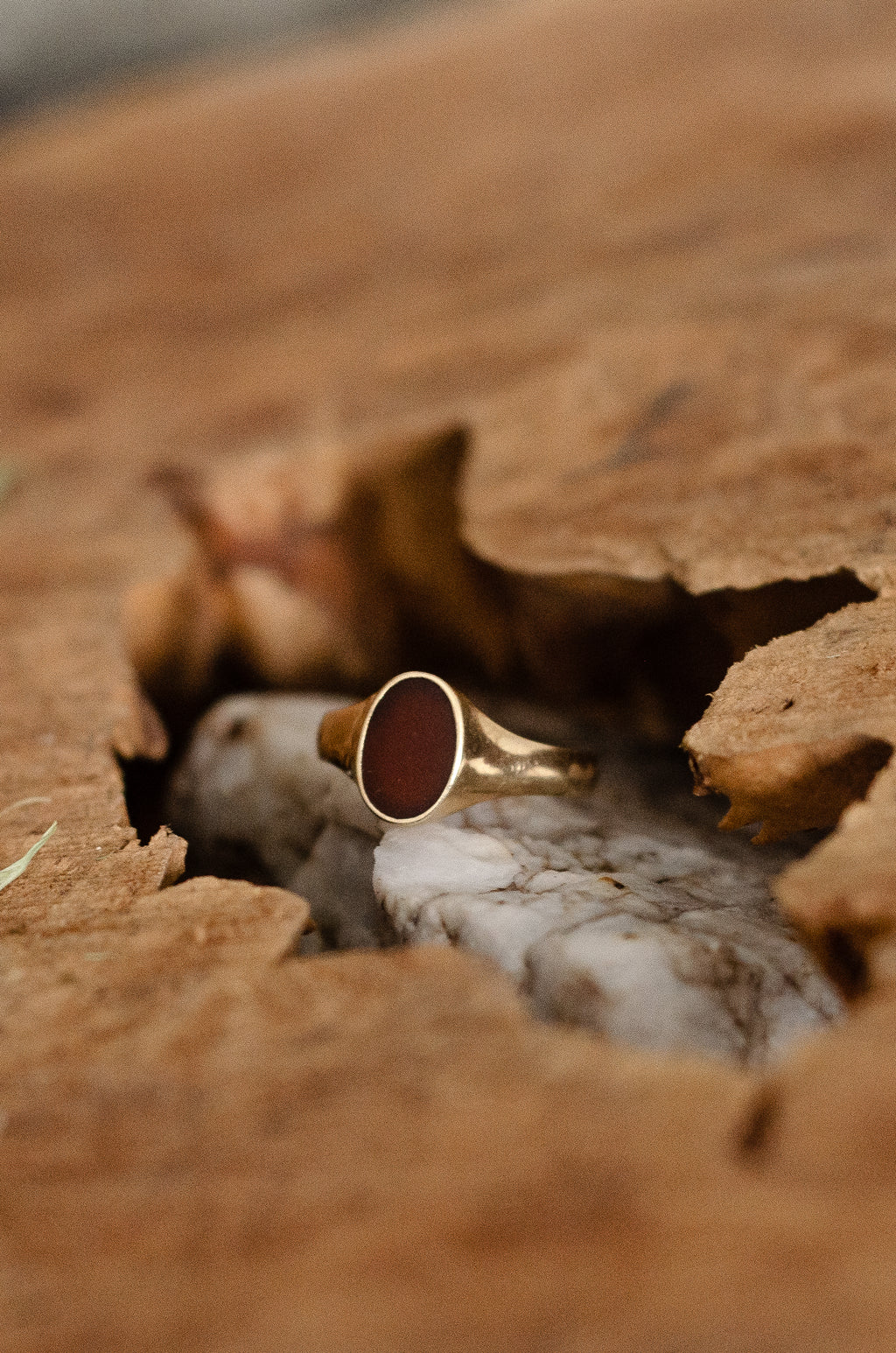 14KT Yellow Gold and Carnelian Tablet Ring – Bowerbird Vintage